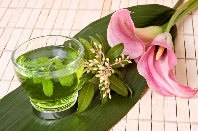 Unveiling the Serene Benefits of CBD-infused Tea - khamush.com